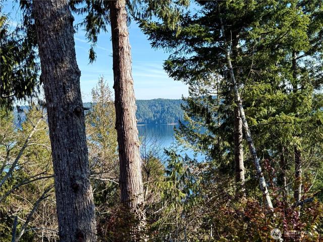 65 Devereaux Dr, Lilliwaup, WA 98555 | MLS #2492