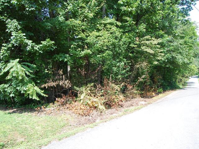 65 Dogwood Lane