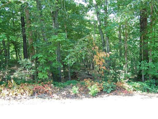 65 Dogwood Ln, Dunlap, TN 37327