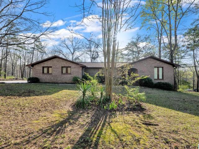 65 Forest Trail