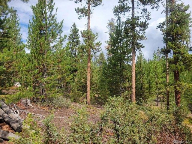 65 Grand County Road 6621, Grand Lake, CO 80447