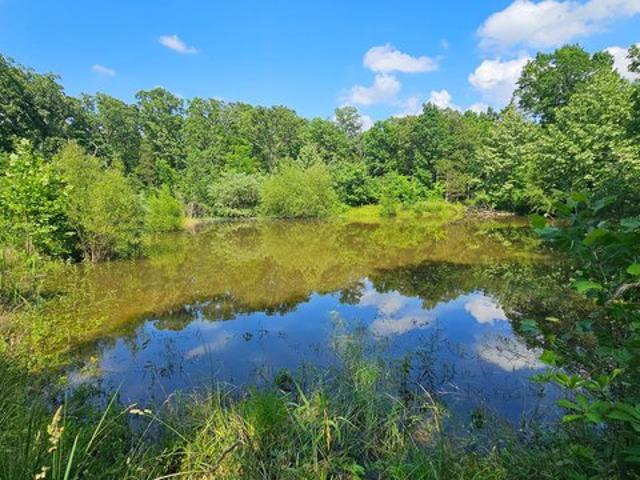 65 Gunslinger Dr, Brixey, MO 65618