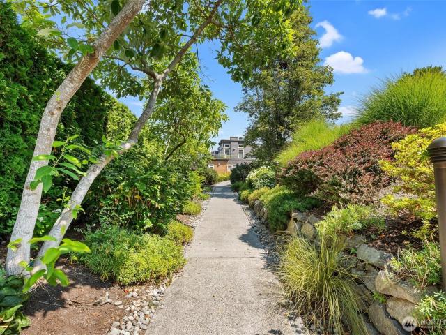 65 Pine Street # 207