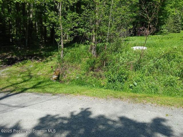 65 Reagan Rd, Brackney, PA 18812 | MLS #SC252431