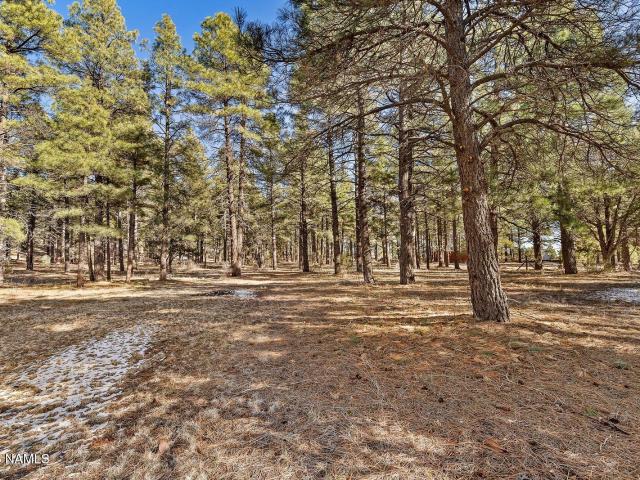 65 S Ansley Ln, Parks, AZ 86018 | Compass