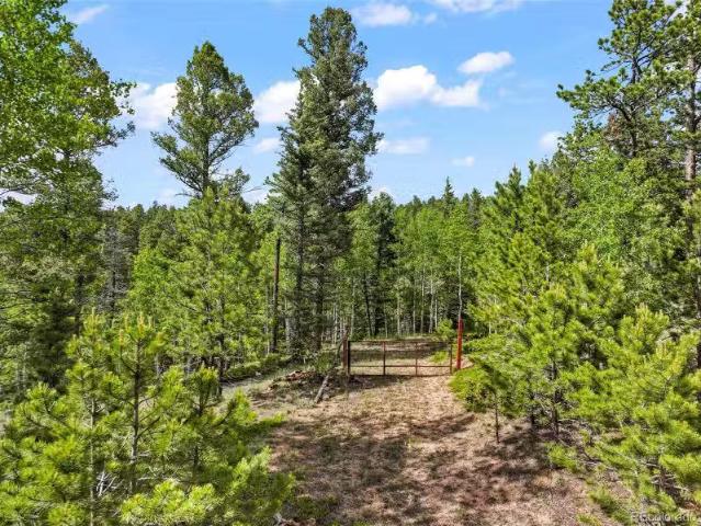 65 Spruce Creek Rd, Divide, CO 80814 MLS #5348799