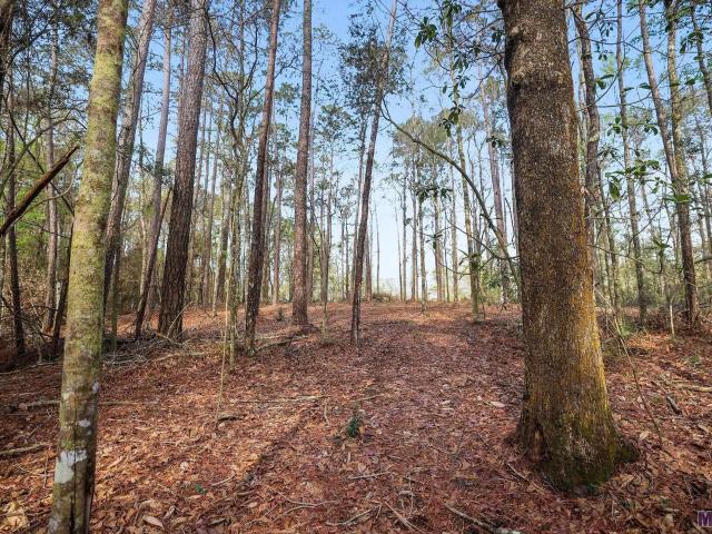 66042 Highway 1058, Roseland, LA 70456 | MLS #BR2026004