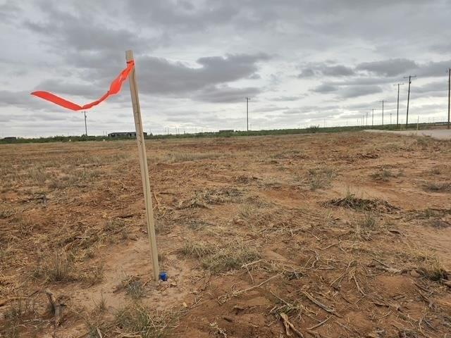 6604 6A County Road 1058 Lot 6A, Midland, TX 79706