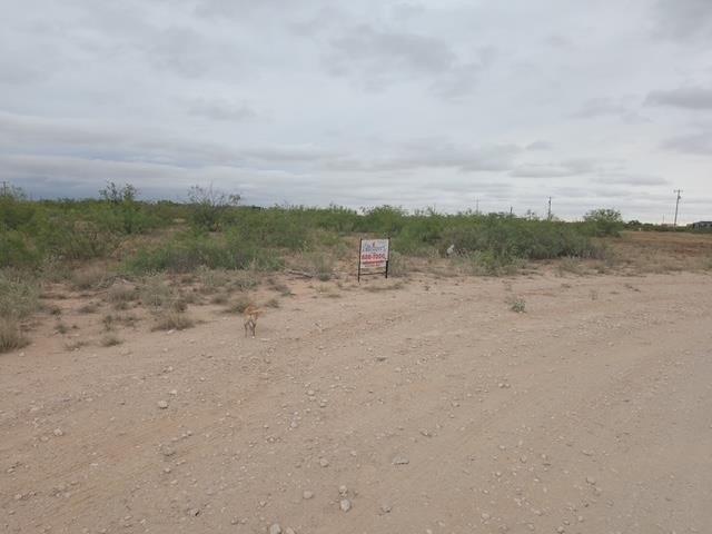 6604 8A S County Road 1058 Lot 8A, Midland, TX 79706
