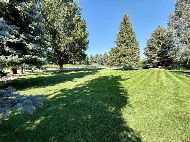 66176 Riverside Rd, Montrose, CO 81403 | MLS #832142