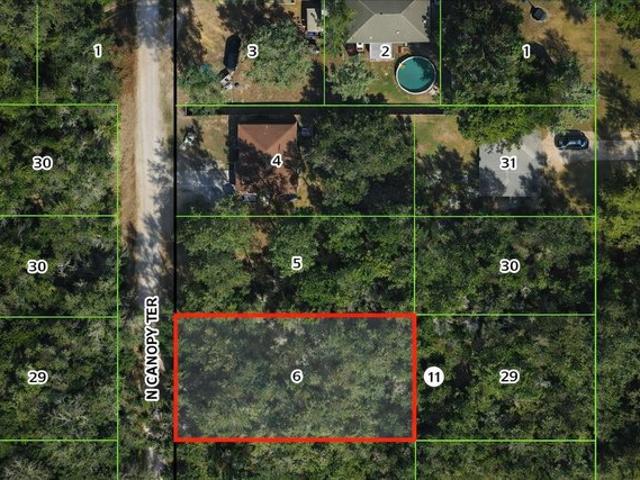 6619 N Canopy Ter, Hernando, FL 34442