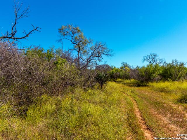 661 661st Devine, TX 78016 | MLS #1861 | Compass