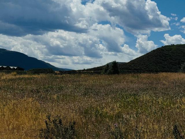 661 Gray Rock Dr, Eagle, CO 81631 | MLS #1013
