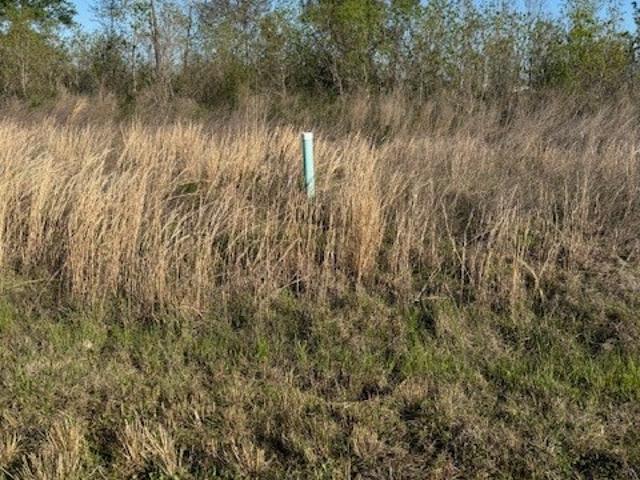 661 Road 5816