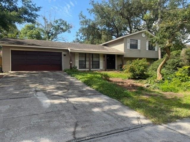 6624 Baybrooks Cir, Tampa, FL 33617