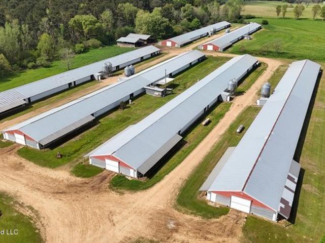 6620 Adams Rd, Smithdale, MS 39664
