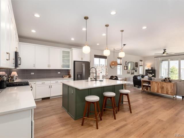 6621 Compelling Pt, Parker, CO 80134 | Compass