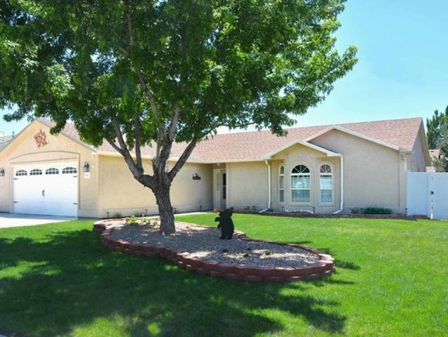 662 Darcy Jo Ln, Fruita, CO 81521