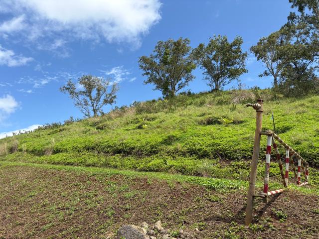 6630 Kipapa Rd, Kapaa, HI 96746 | MLS #728499