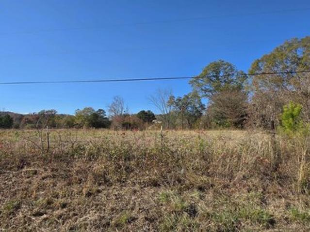 663 Graham Dr Lot 5, Ohatchee, AL 36271