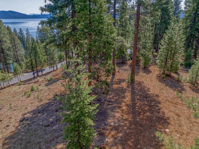 663 Peninsula Dr, Lake Almanor, CA 96137 | MLS #20210