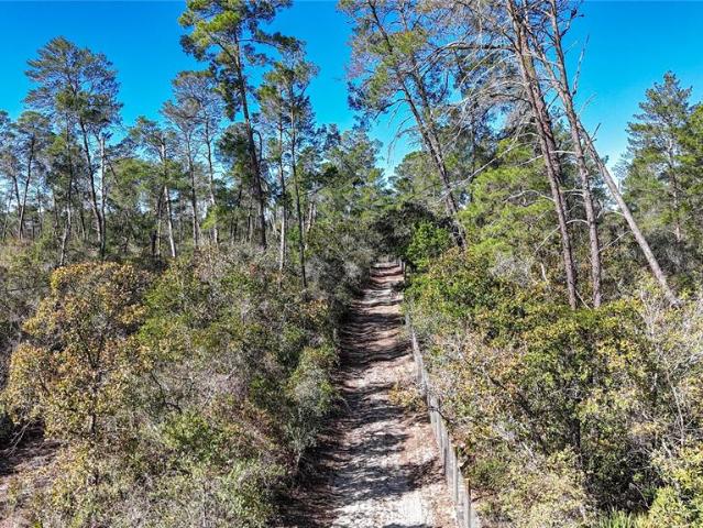 6646 N Percale Ter, Dunnellon, FL 34433 | MLS #OM718606