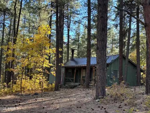 6640 Mormon Lake Rd, Mormon Lake, AZ 86038 MLS 6833384