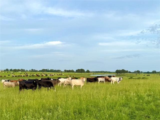 6642 Garhole View Ln, Bryan, TX 77808 | MLS #25012 | Compass