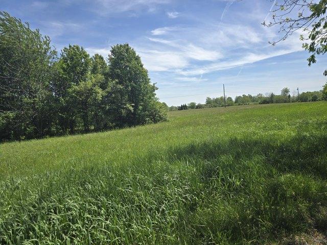 6655 Delaney Fry, Versailles, KY 40383