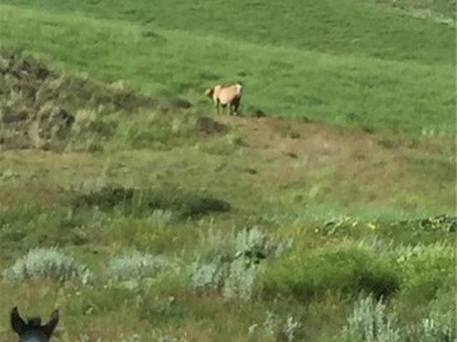 6658 SE Moser Dome Rd SE Lot 3, Laurel, MT 59044