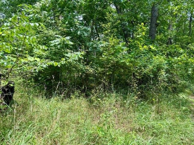 6652 Champagne Rd, Kinde, MI 48445