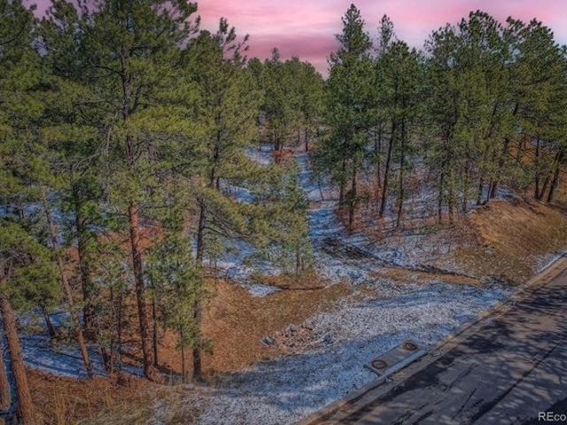 665 Copper Fox Pl, Larkspur, CO 80118