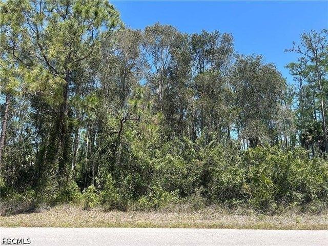 665 Knapp St, Lehigh Acres, FL 33974