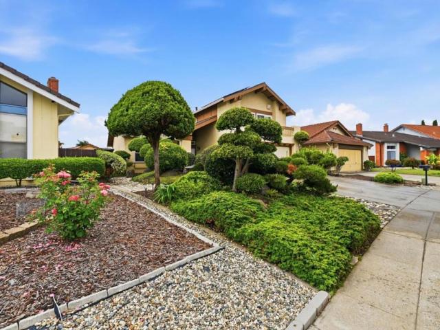 665 Hollyhock Drive