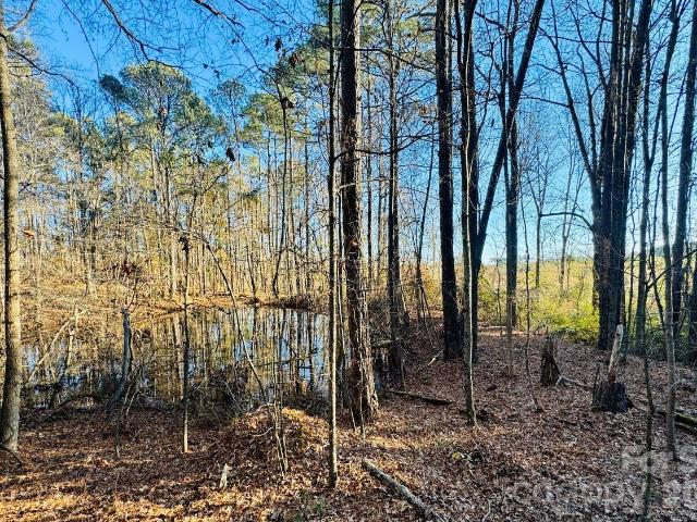 665 Hwy 145 Hwy S, Chesterfield, SC 29709 | MLS #4331 | Compass
