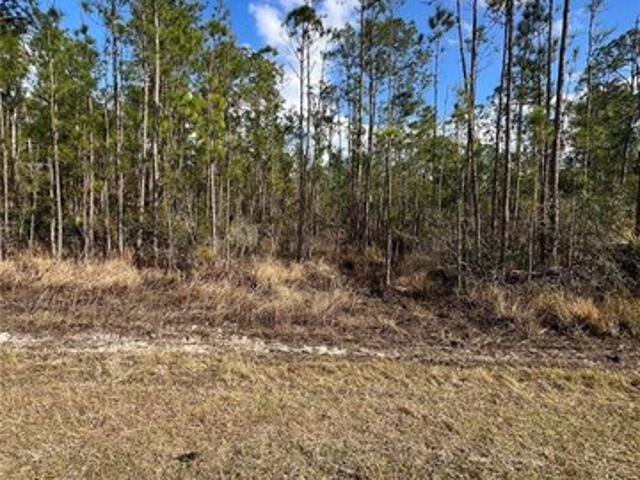 6660 Balboa Blvd, Sebring, FL 33872
