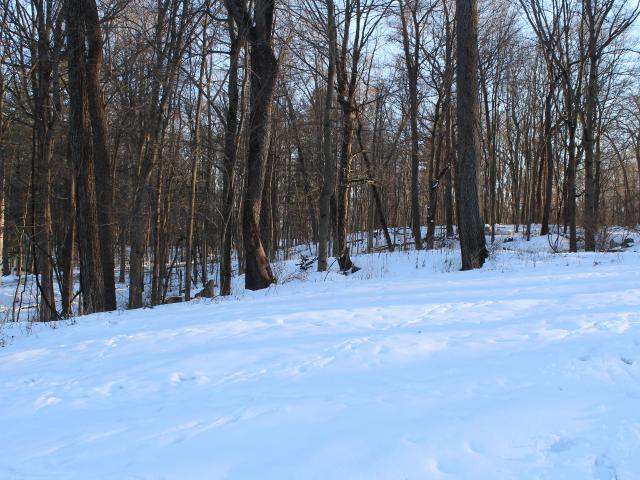 66741 Conrad Road, Edwardsburg, MI 49112 | MLS #25002