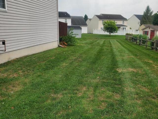 667 Walnut Tree Drive