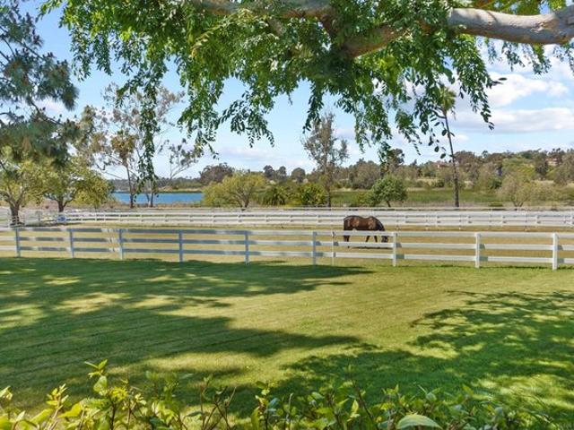 6685 and 6701 Lago Lindo, Rancho Santa Fe, CA 92067
