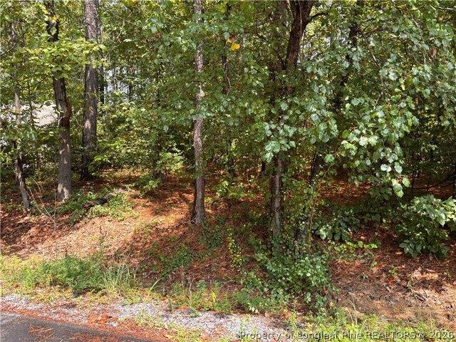 668 Chelsea Dr, Sanford, NC 27332