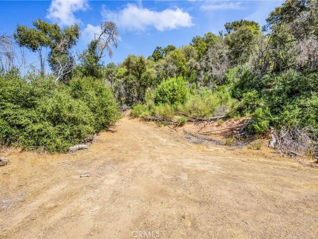 6696 State Hwy 20
