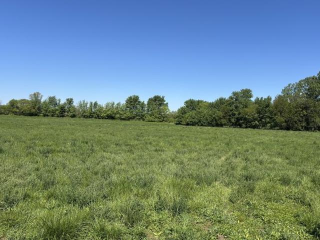 6690 S County Road 0, Clayton, IN 46118
