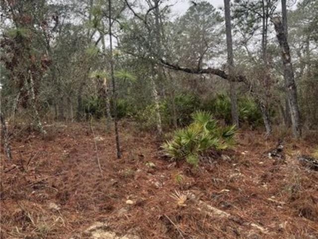 6692 N Airmont Dr, Dunnellon, FL 34433