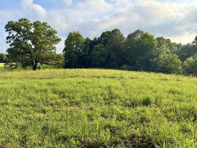 669 Houston Fielder Rd, Clarksville, TN 37043