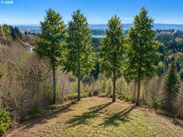 669 Sommerset Rd Unit 36, Woodland, WA 98674