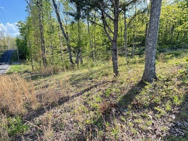 669 Shadowland Dr, Graysville, TN 37338