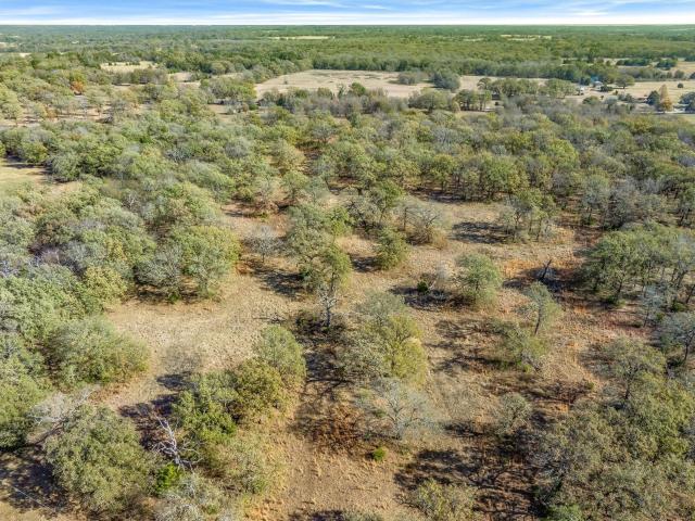66.00 +/ Acres VZ County Road 2145