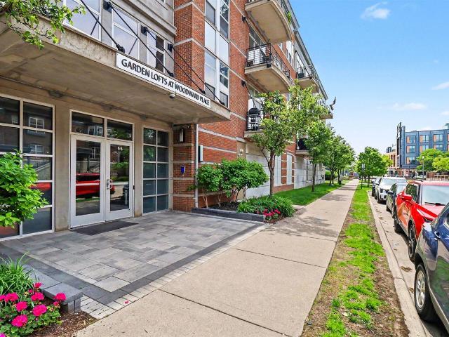66 Winder Street # 339