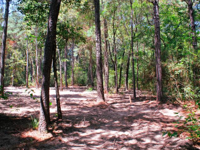 66 AC Tanyard Church Lane