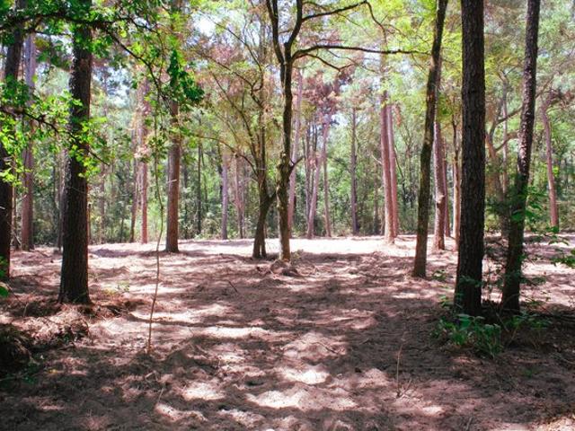 66 Ac Tanyard Church Ln, Midway, TX 75852